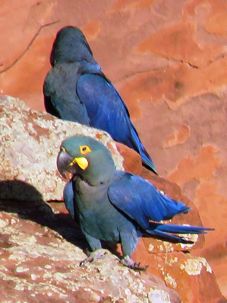 BOUTE EXPEDITIONS – THE RIGHT CHOICE FOR THOSE THAT LOVE NATURE!